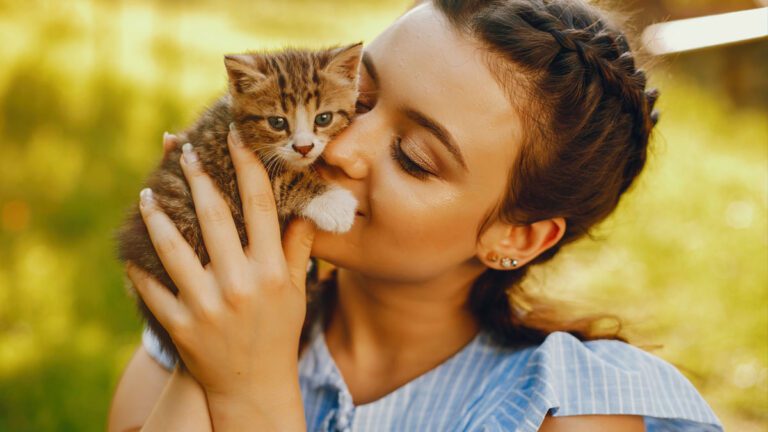 10 Razas de gatos atigrados o rayados – Michi Gato