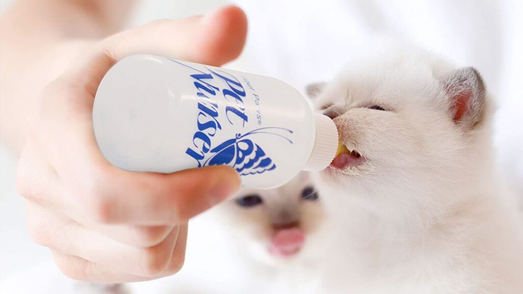 Los mejores biberones para gatitos y tabla de alimentos
